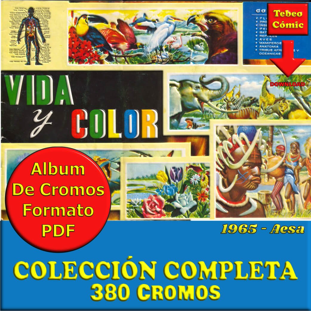 VIDA Y COLOR - 1965 – Colección Completa 380 Cromos - Álbum De Cromos ...